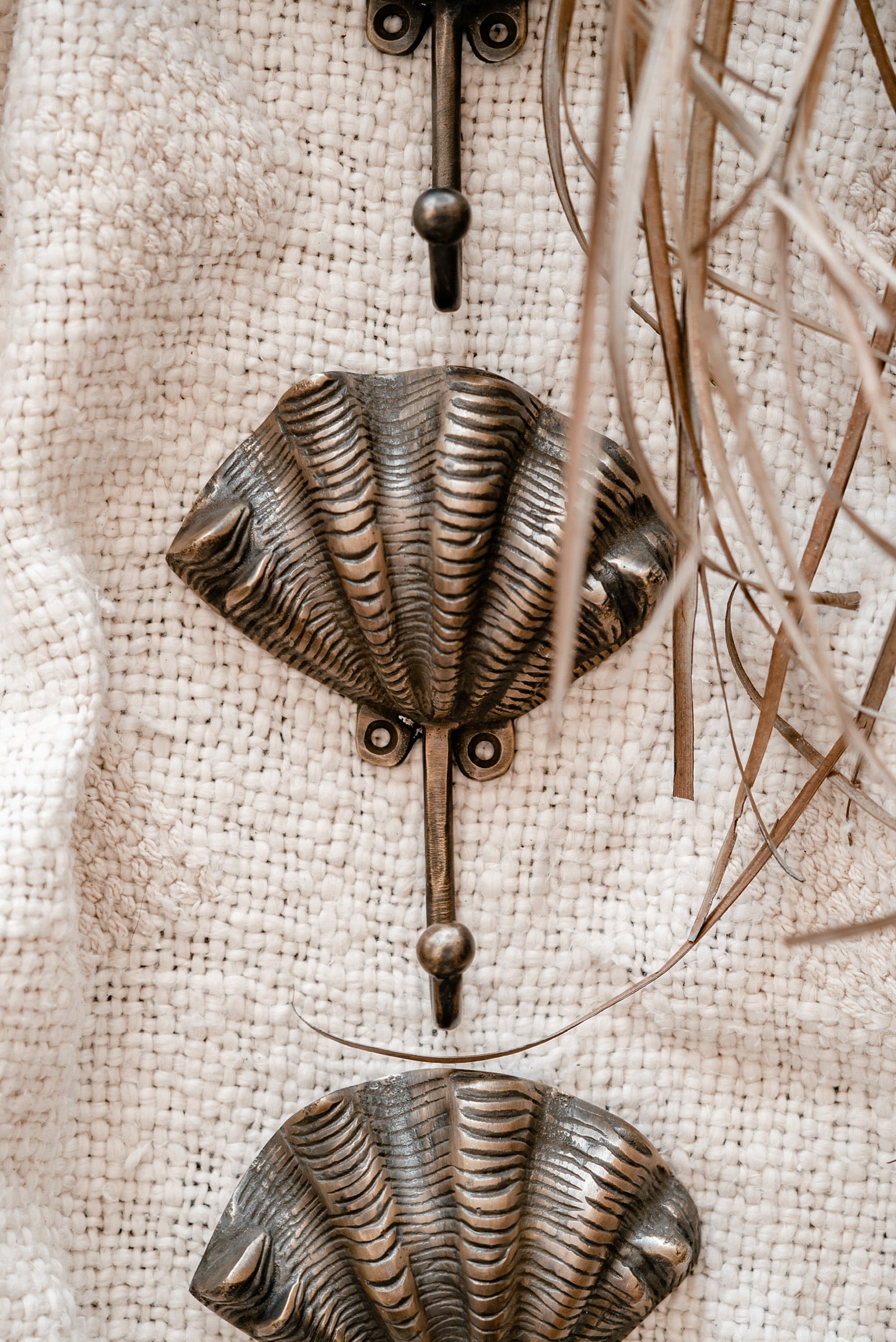 Large Clam Shell Brass Hook - Antique Brass